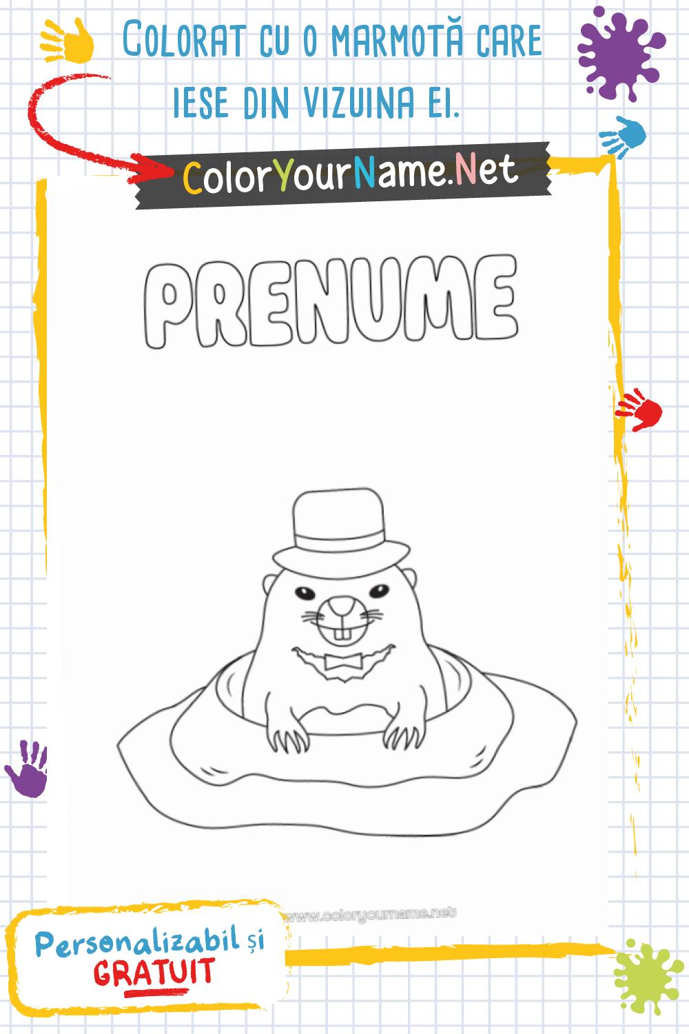 Colorat cu o marmotă care iese din vizuina ei.