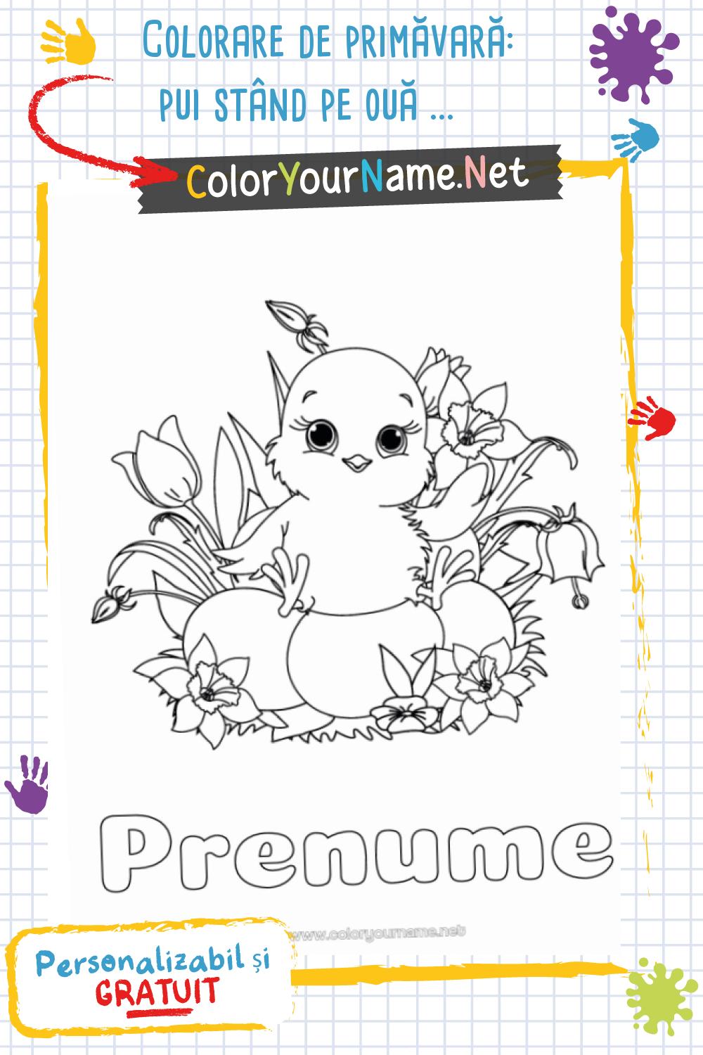 Colorare de primăvară: pui stând pe ouă și înconjurat de flori.