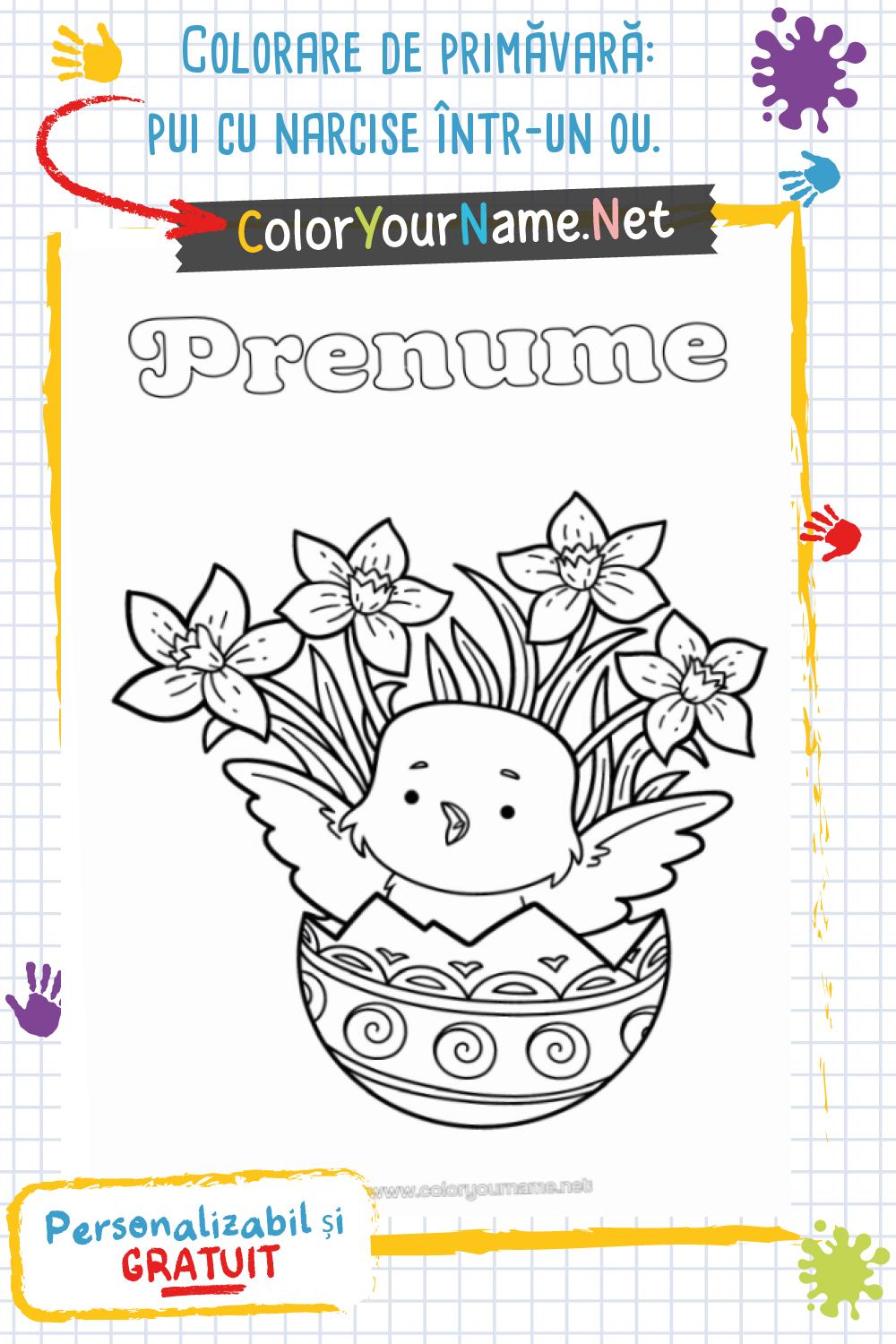 Colorare de primăvară: pui cu narcise într-un ou.