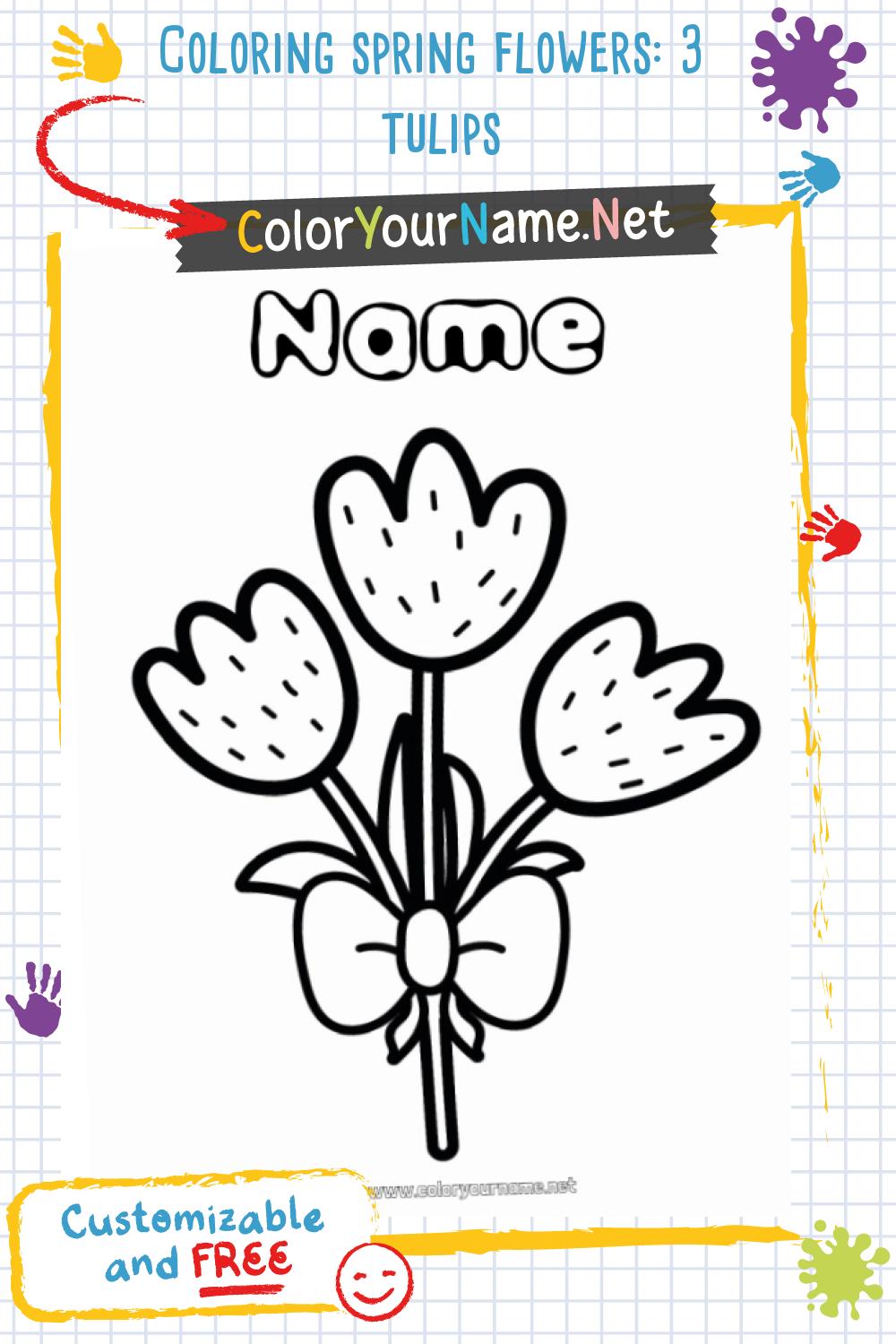 Coloring spring flowers: 3 tulips