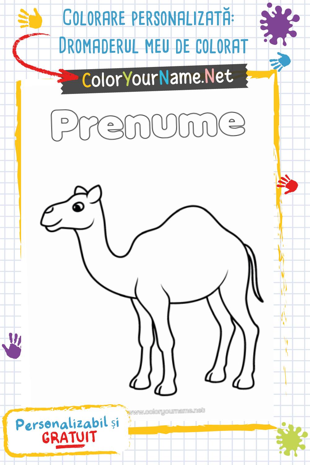 Colorare personalizată: Dromaderul meu de colorat