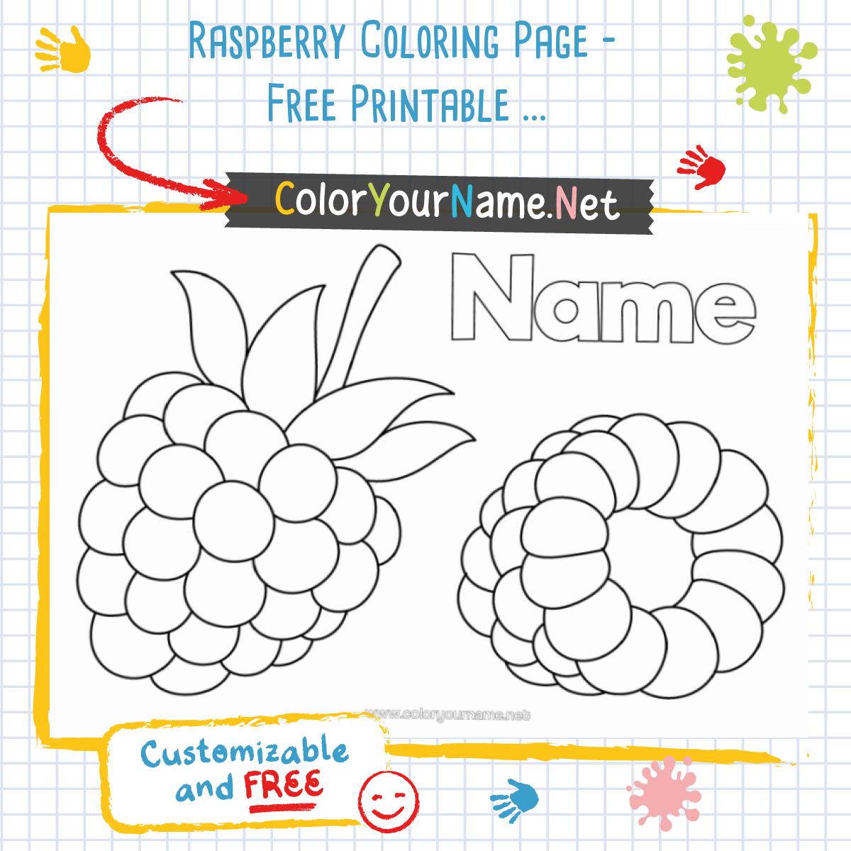 Raspberry Coloring Page – Free Printable and Customizable Drawing